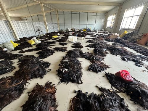 China Hair Extensions Factory Guide for Wholesale Buyers | Wholesale ...
